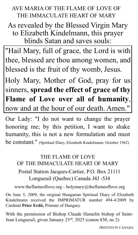 Your store. Holy Card of Mary / English